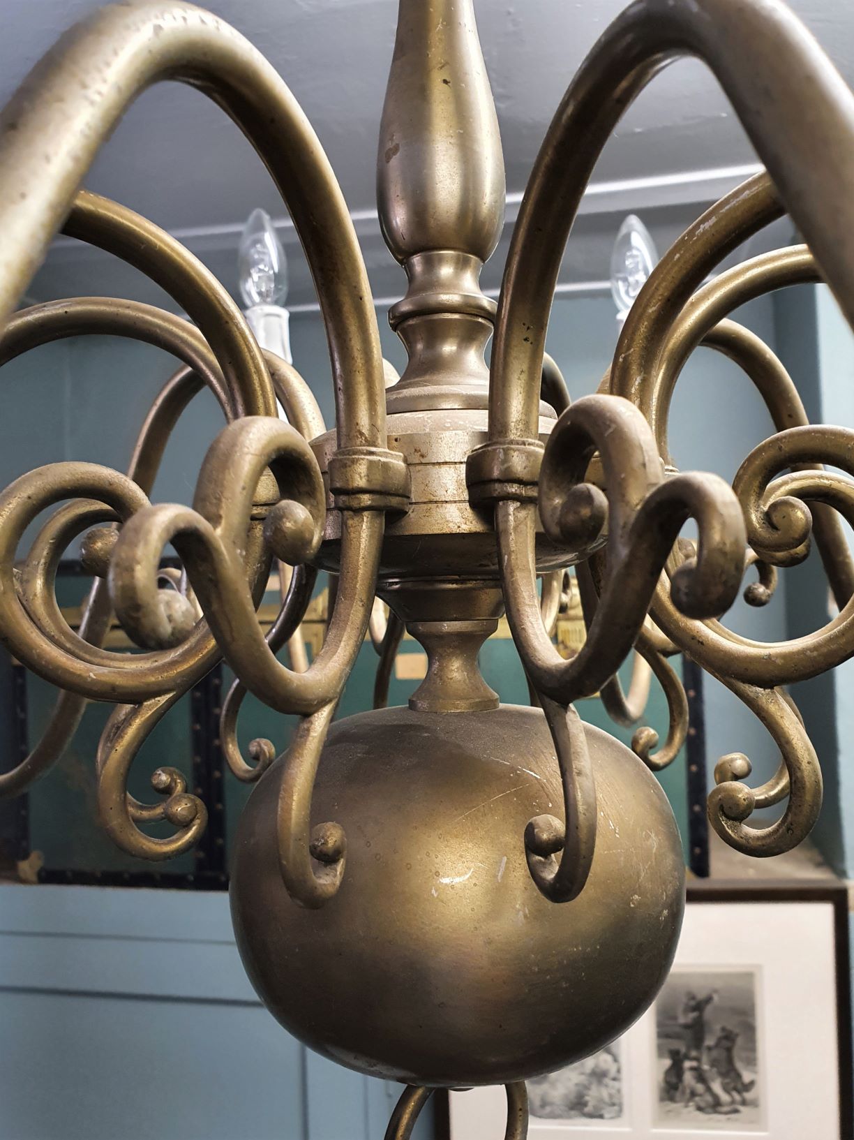 A large Flemish Light